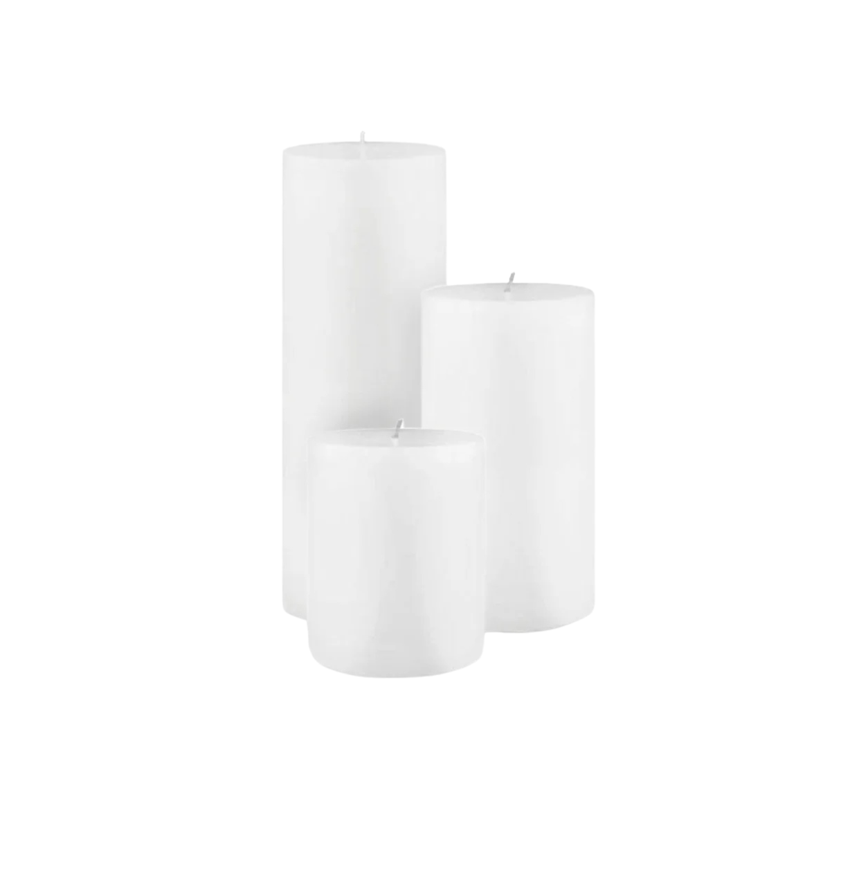 Candle 101 | The Tallest Tulip